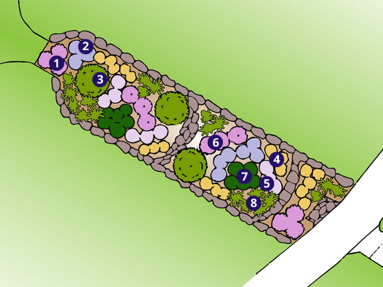 Sun Bioswale Design | Illinois Pollinators