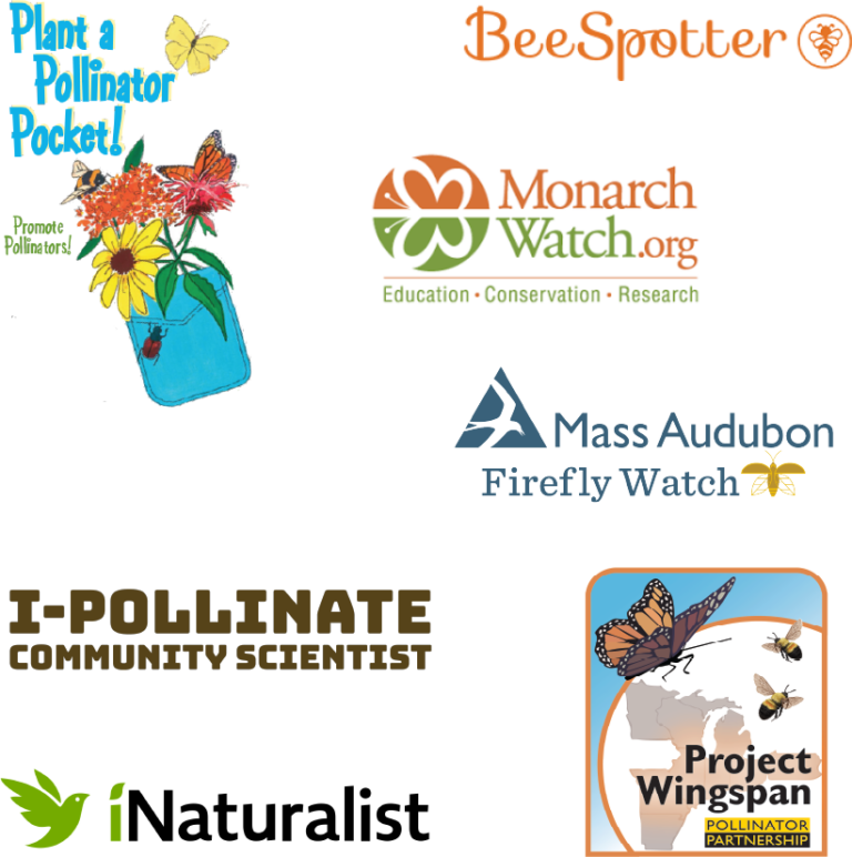 Community Science | Illinois Pollinators